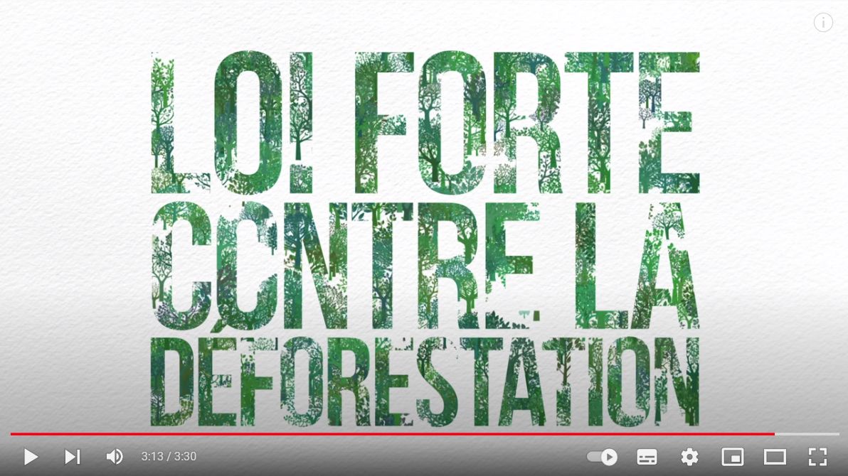 Tout comprendre sur la déforestation - Le mag